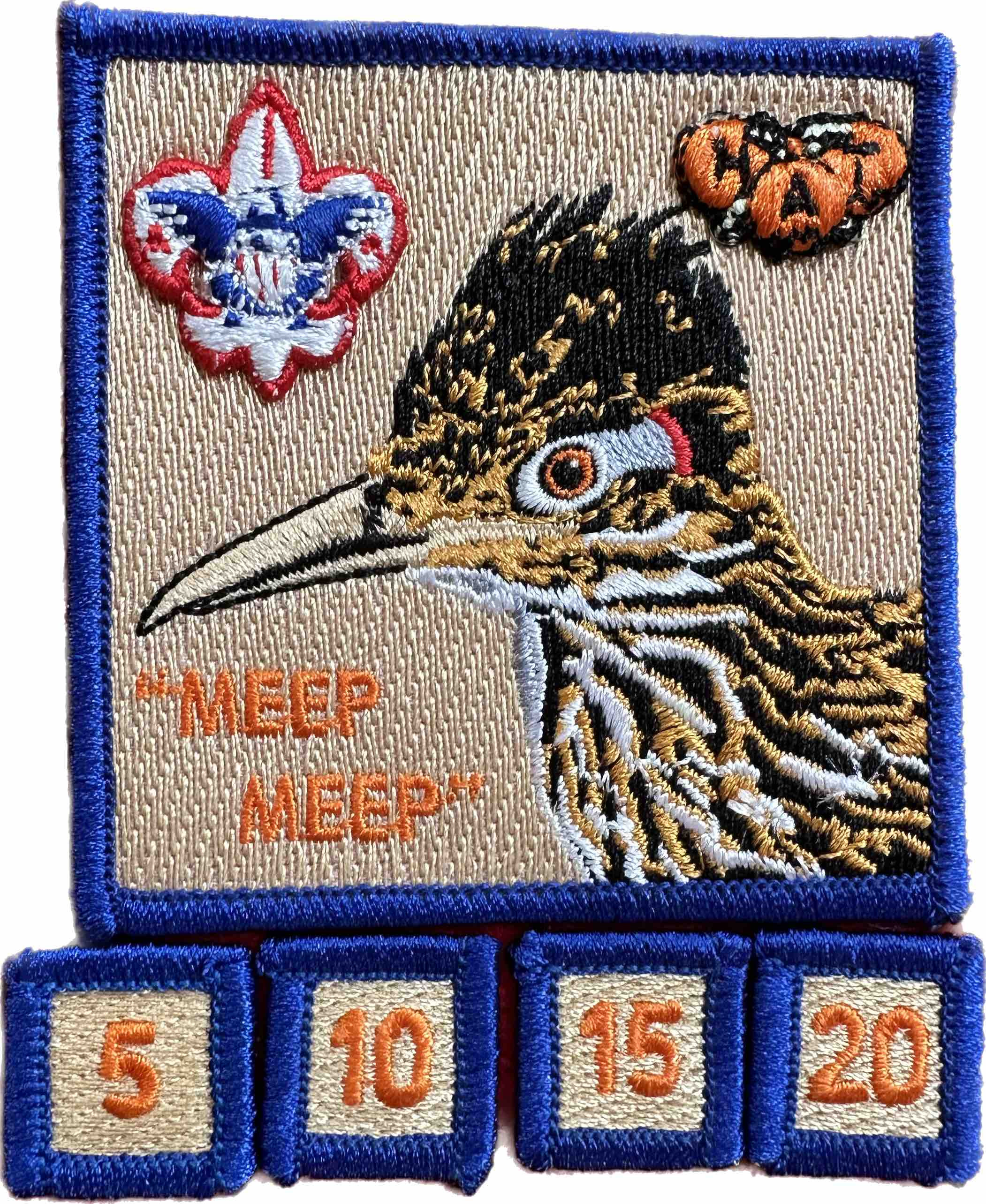 Cub Scout Roadrunner Hiking Award